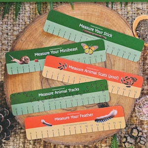 Measure Nature Rulers | Outdoor Play Printables | Nature Math | Nature ...
