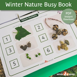 Winter Busy Book for Preschoolers | Winter Nature Busy Book | Winter ...