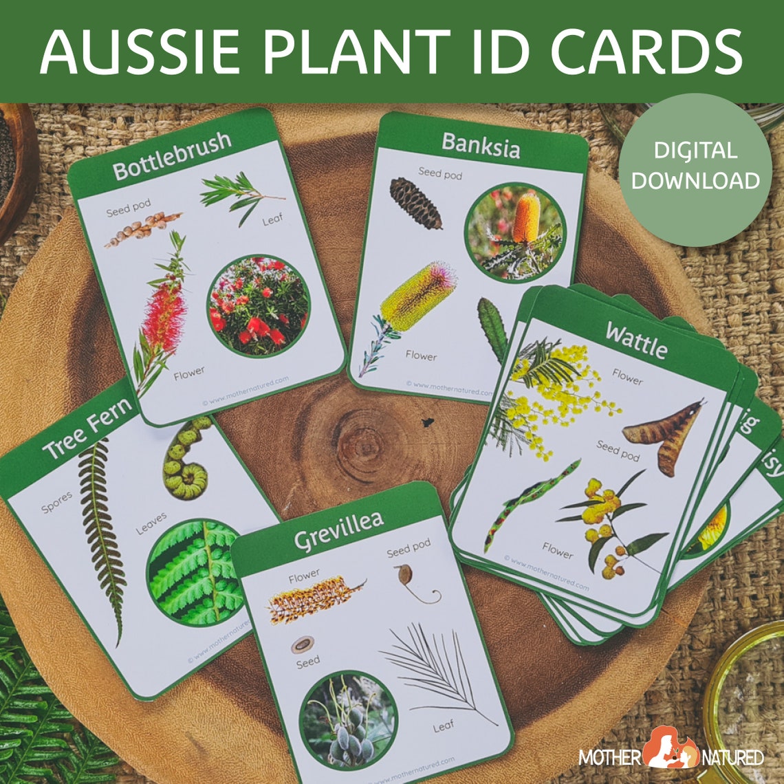 Australian Native Plant Identification Cards Australian - Etsy