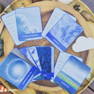 CLOUD PRINTABLES for Kids | Cloud Flash Cards | Cloud Posters | Cloud ...