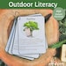 Outdoor Literacy Activities | Nature Literacy Activities | EYSF ...
