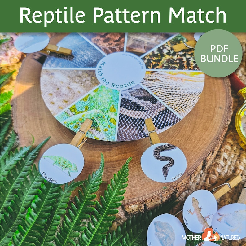 Reptile Matching Activity | Reptile Game | Pattern Activity | Preschool ...