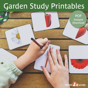 Garden Activity Printables for Kids | Garden Resources | Gardening With ...
