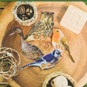 Bird Finger Puppets for Kids | Bird Puppet Printable | Bird Study ...