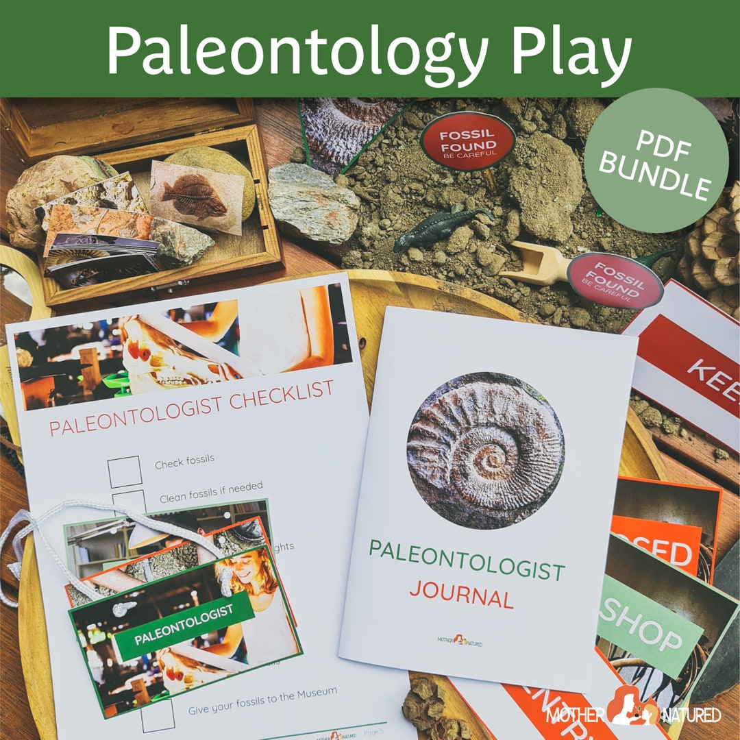 PALEONTOLOGY Play Printables | Museum Play Printables | Dinosaur Play ...