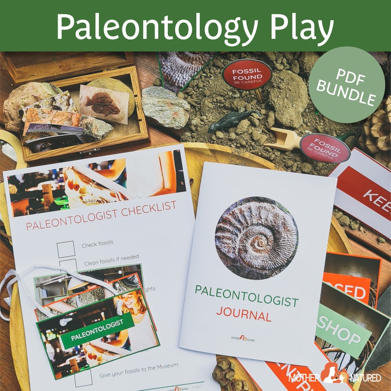 PALEONTOLOGY Play Printables | Museum Play Printables | Dinosaur Play ...
