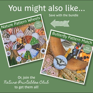 Nature Matching Activity | Nature Activity | Nature Printable | Nature ...