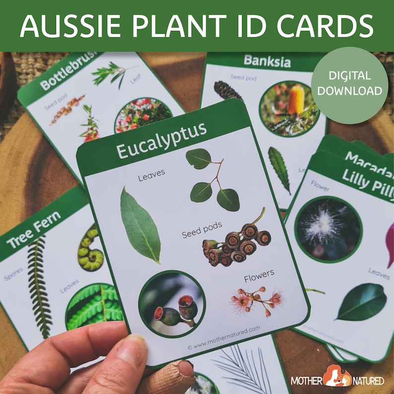 Australian Native Plant Identification Cards Australian - Etsy
