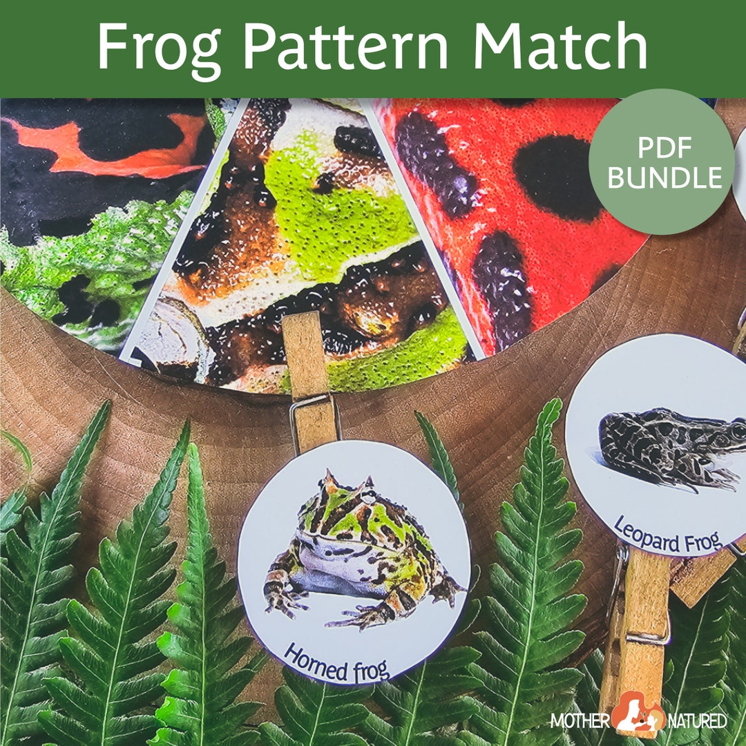 Frog Matching Activity | Frog Game | Pattern Activity | Preschool ...