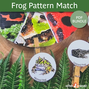 Frog Matching Activity Frog Game Pattern Activity - Etsy