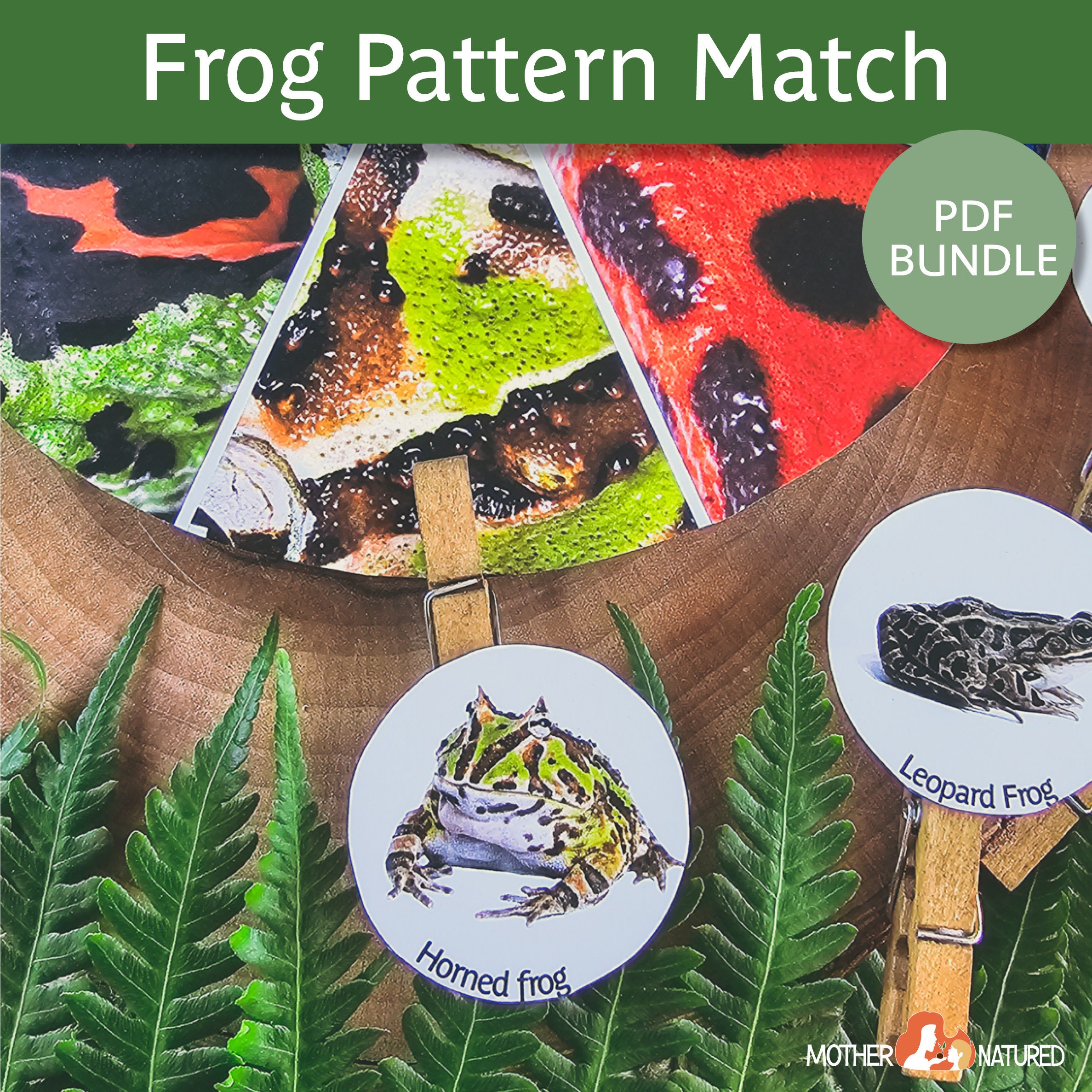 Frog Matching Activity Frog Game Pattern Activity - Etsy