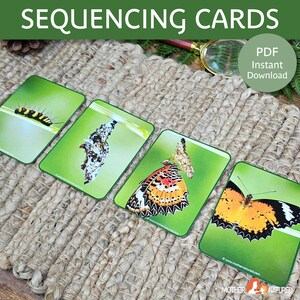 Life Cycle Sequencing Cards | Nature Sequence Activity | Wildlife ...