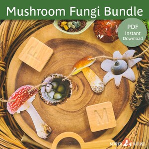 Fungi Study Bundle | Mushroom Study Bundle | Fungi Printables ...