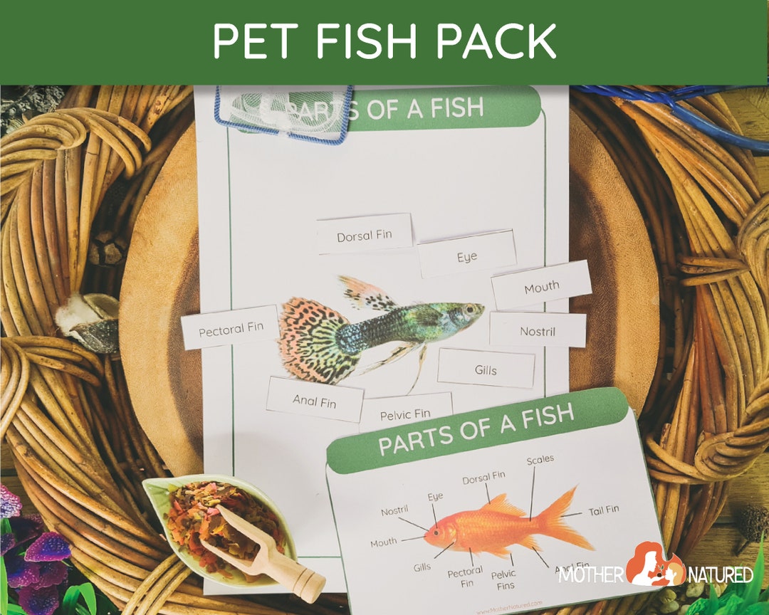 Pet Fish Printables Pack | Pet Fish Journal | Classroom Pet Fish | Pet ...