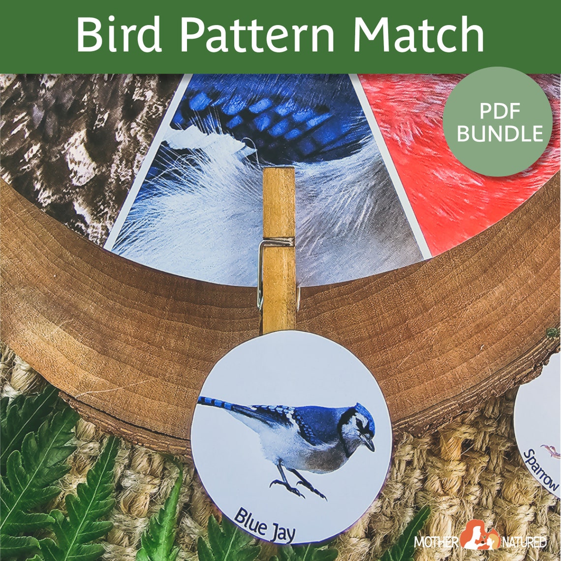 Bird Matching Activity | Bird Game | Pattern Activity | Preschool ...