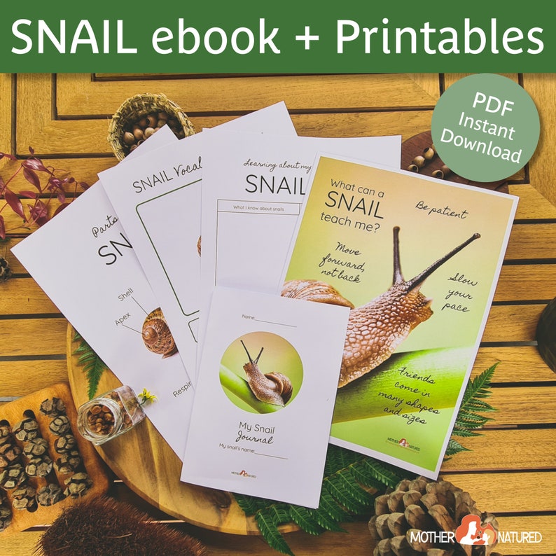 PET SNAIL PRINTABLES | Garden Snail Printables | How to Care for Pet ...