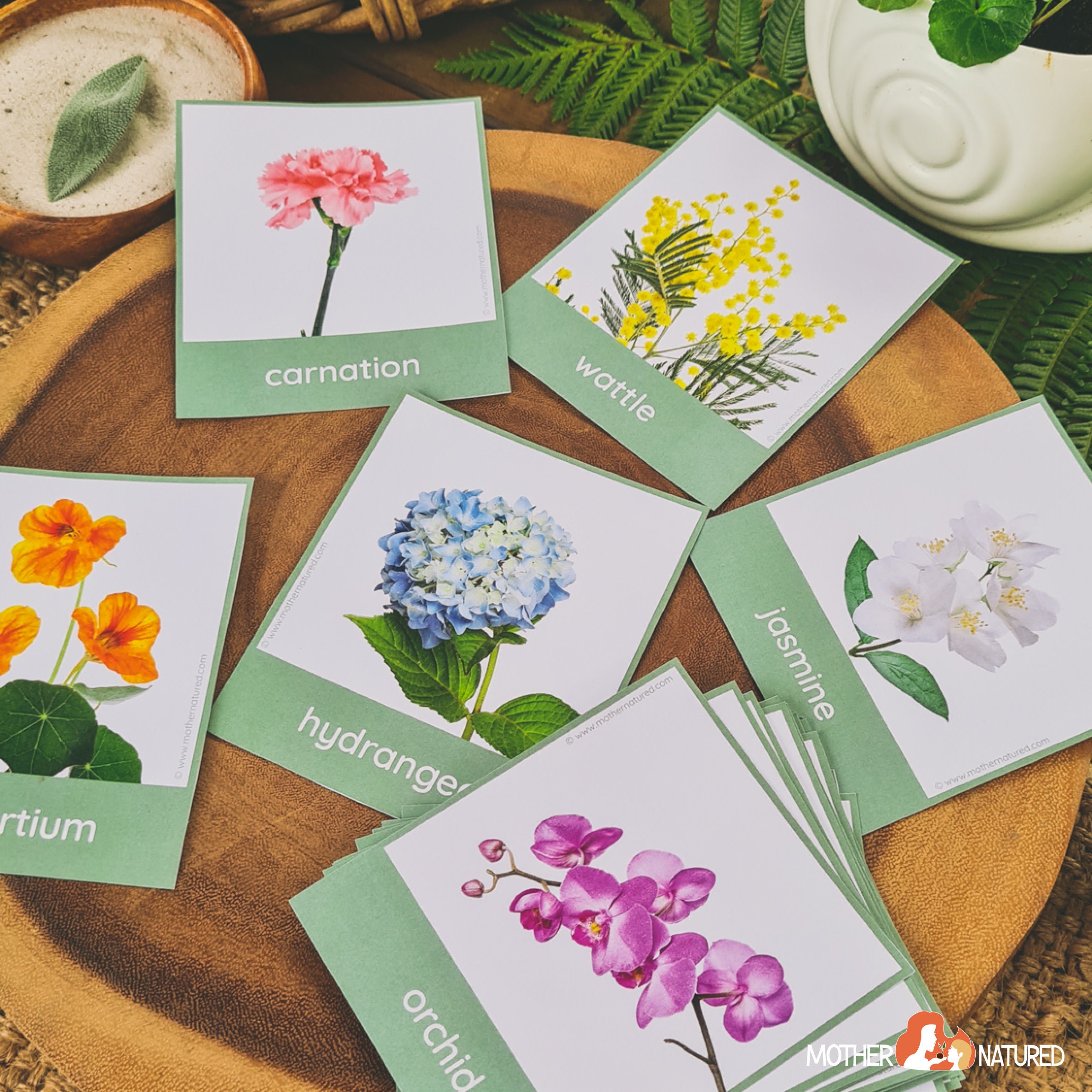 Flower Identification Cards Flower Cards Flower Study Flower Activity ...