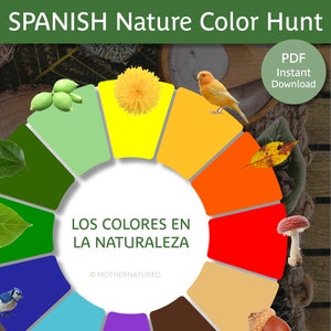 SPANISH Nature Color Wheel | Colores En Búsqueda Del Tesoro En La ...