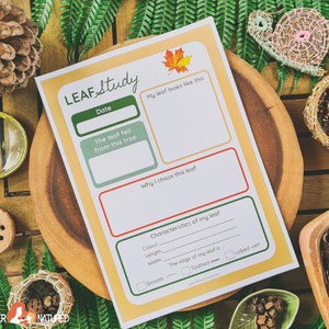 Nature Journal for Kids Nature Study Journal Outdoor - Etsy