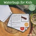 Waterbug Identification for Kids | Aquatic Macroinvertebrates for Kids ...
