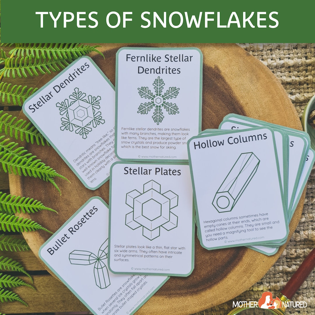 Snowflake Shapes | Types of Snowflakes | Snowflake Flashcards ...