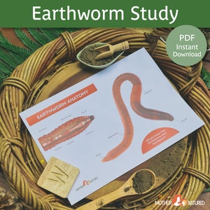 Earthworm Study Bundle | Earthworm Activities | Earth Worm Printables ...