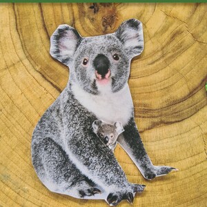 Australian Animal Puppets | Koala Puppets | Kangaroo Puppets | Wombat ...