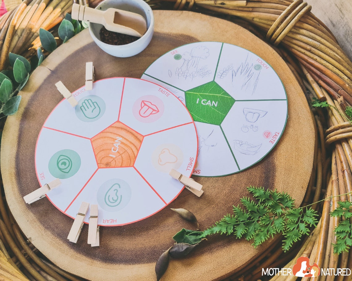 Five Senses Nature Wheel Nature Sensory Activity for Kids - Etsy