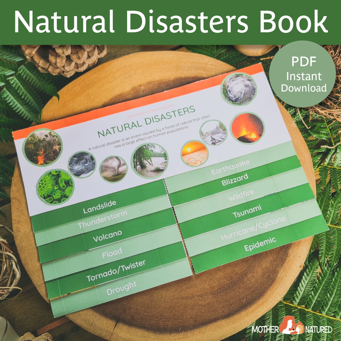 Natural Disaster Worksheet Natural Disasters Booklet - Etsy