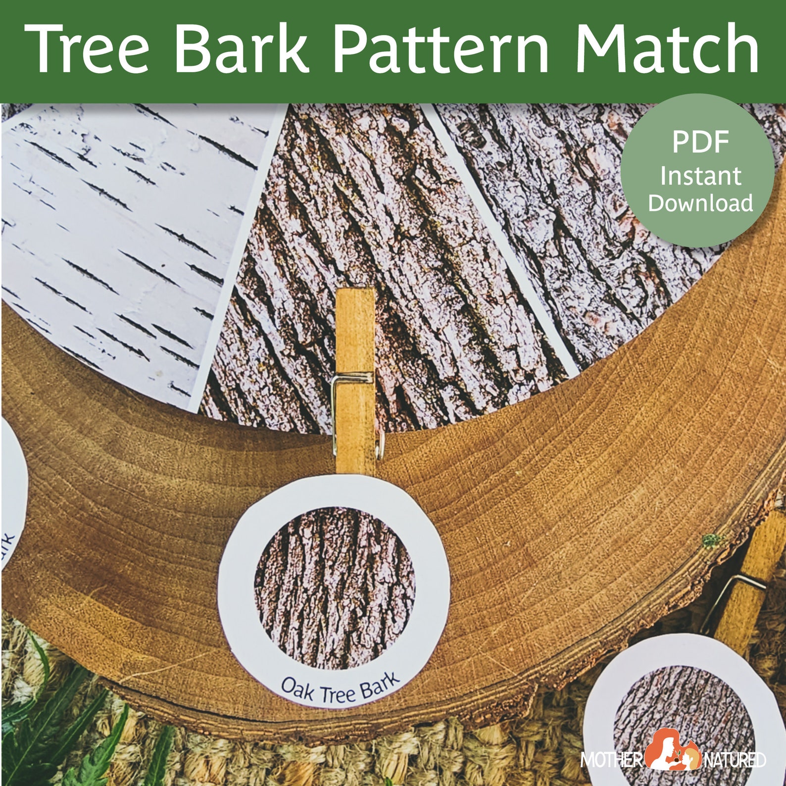 Tree Bark Matching Activity | Bark Activity | Tree Study Printable ...