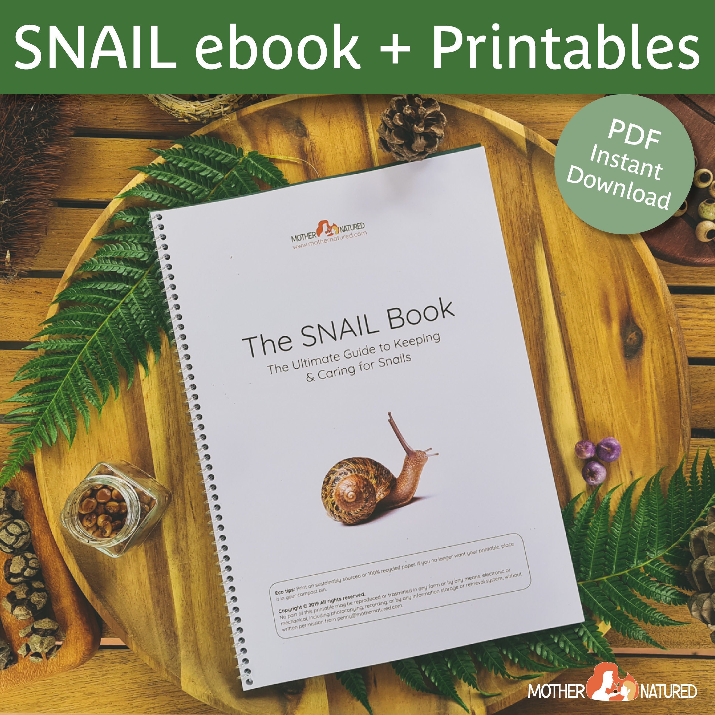 PET SNAIL PRINTABLES | Garden Snail Printables | How to Care for Pet ...