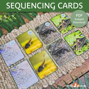 Life Cycle Sequencing Cards | Nature Sequence Activity | Wildlife ...