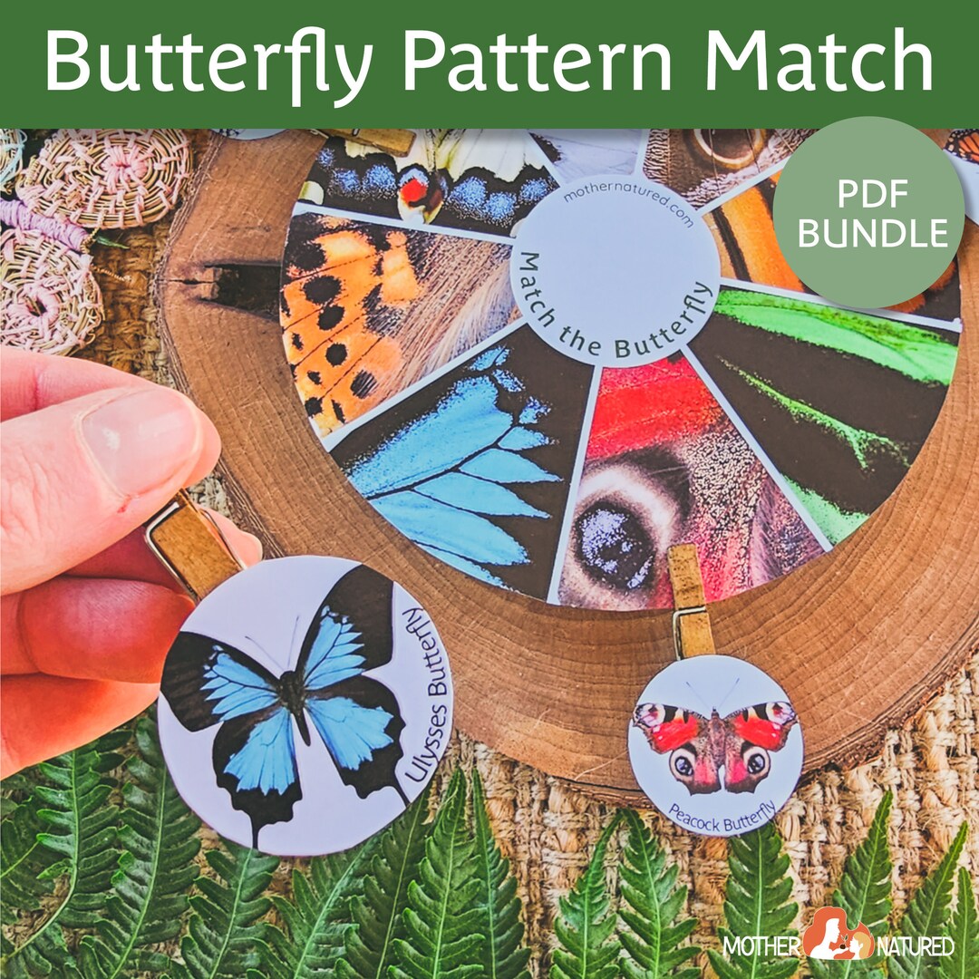 Butterfly Matching Activity | Butterfly Game | Butterfly Pattern ...