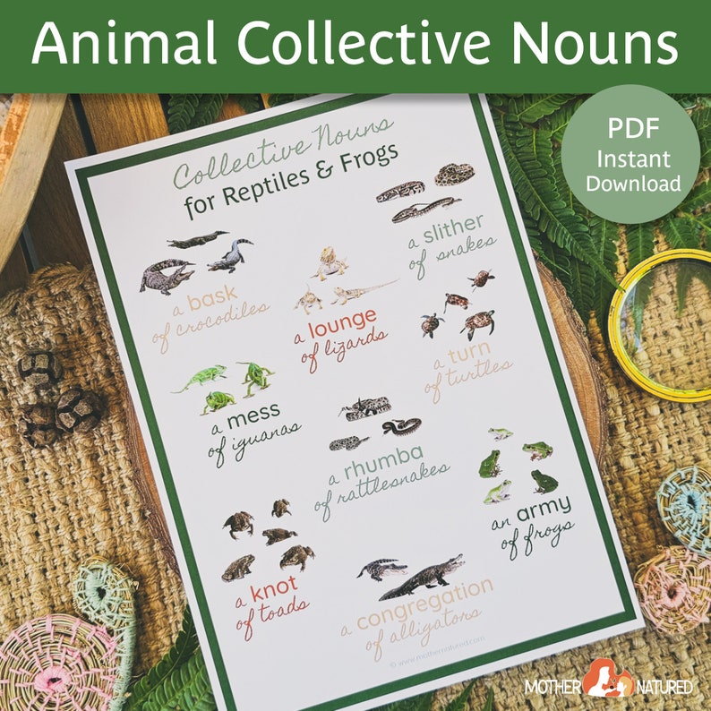 Collective Nouns for Animals | Collective Nouns Poster | Collective ...