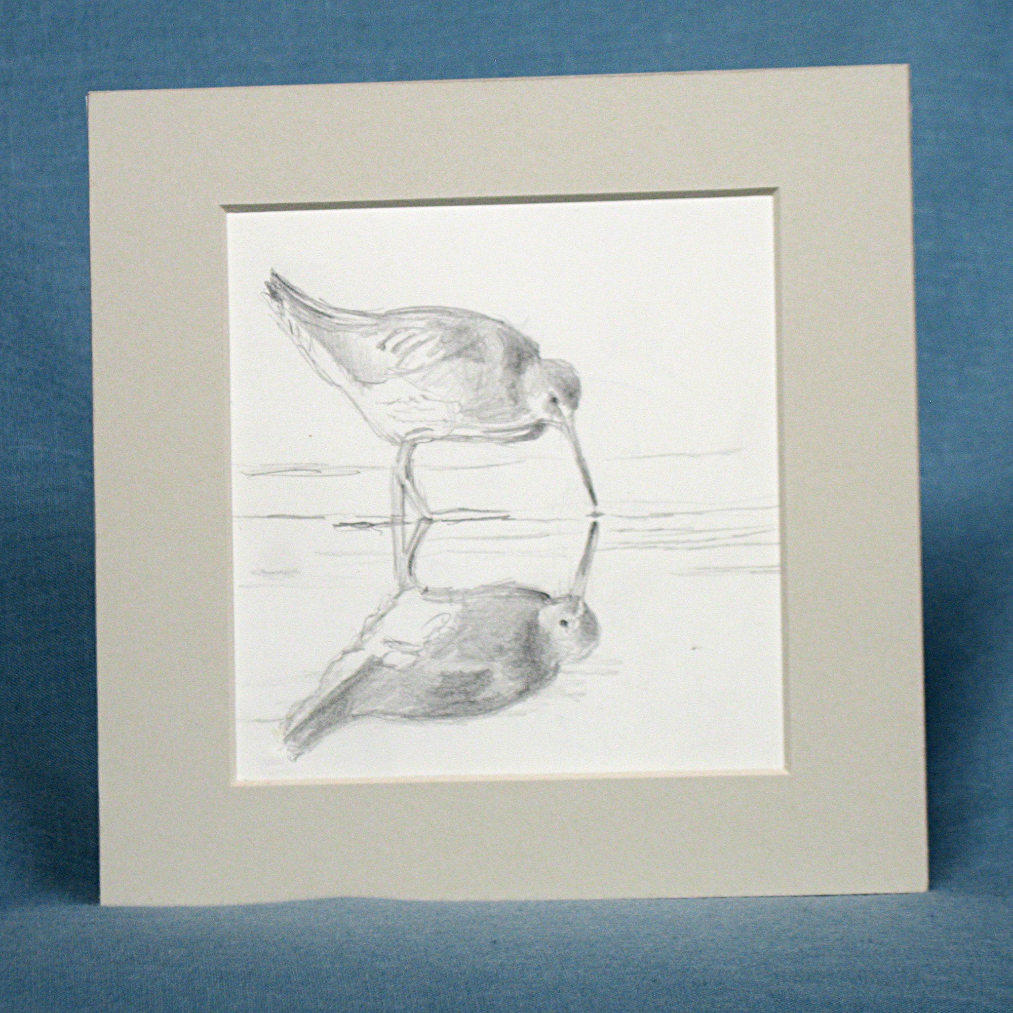 Redshank. Original Pencil Drawing, Signed by the Artist - Etsy