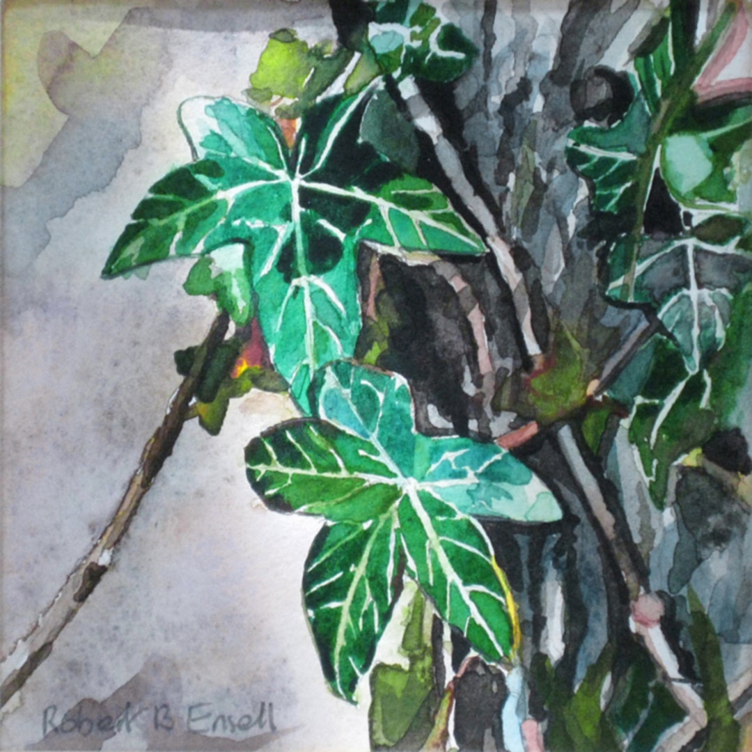 Ivy. Original Watercolour Painting. Signed by the Artist. - Etsy