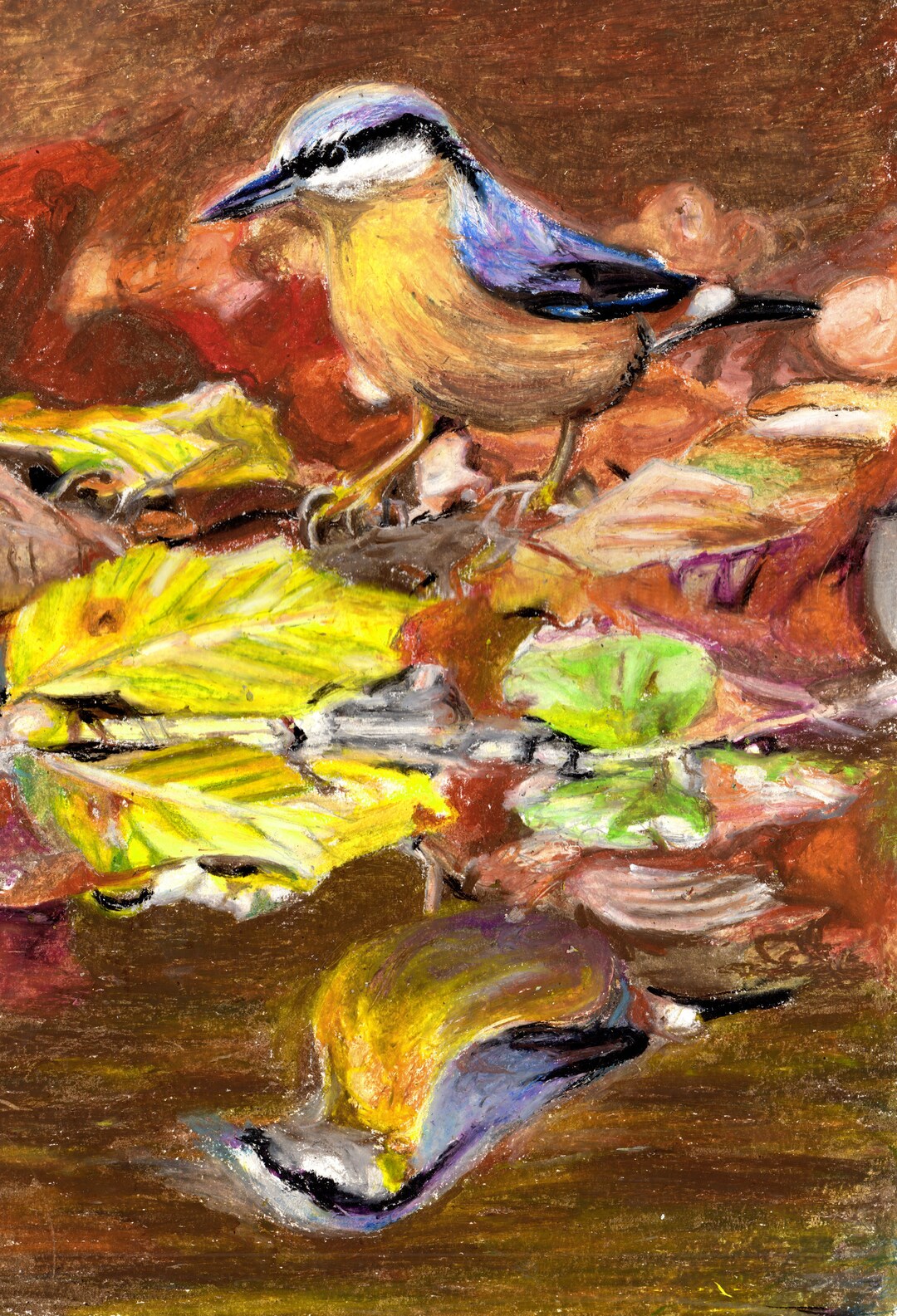 Nuthatch in Autumn. Original Pastel Drawing. - Etsy Ireland