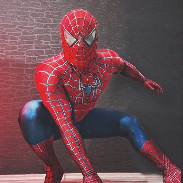 Custom Spiderman Suit - Etsy
