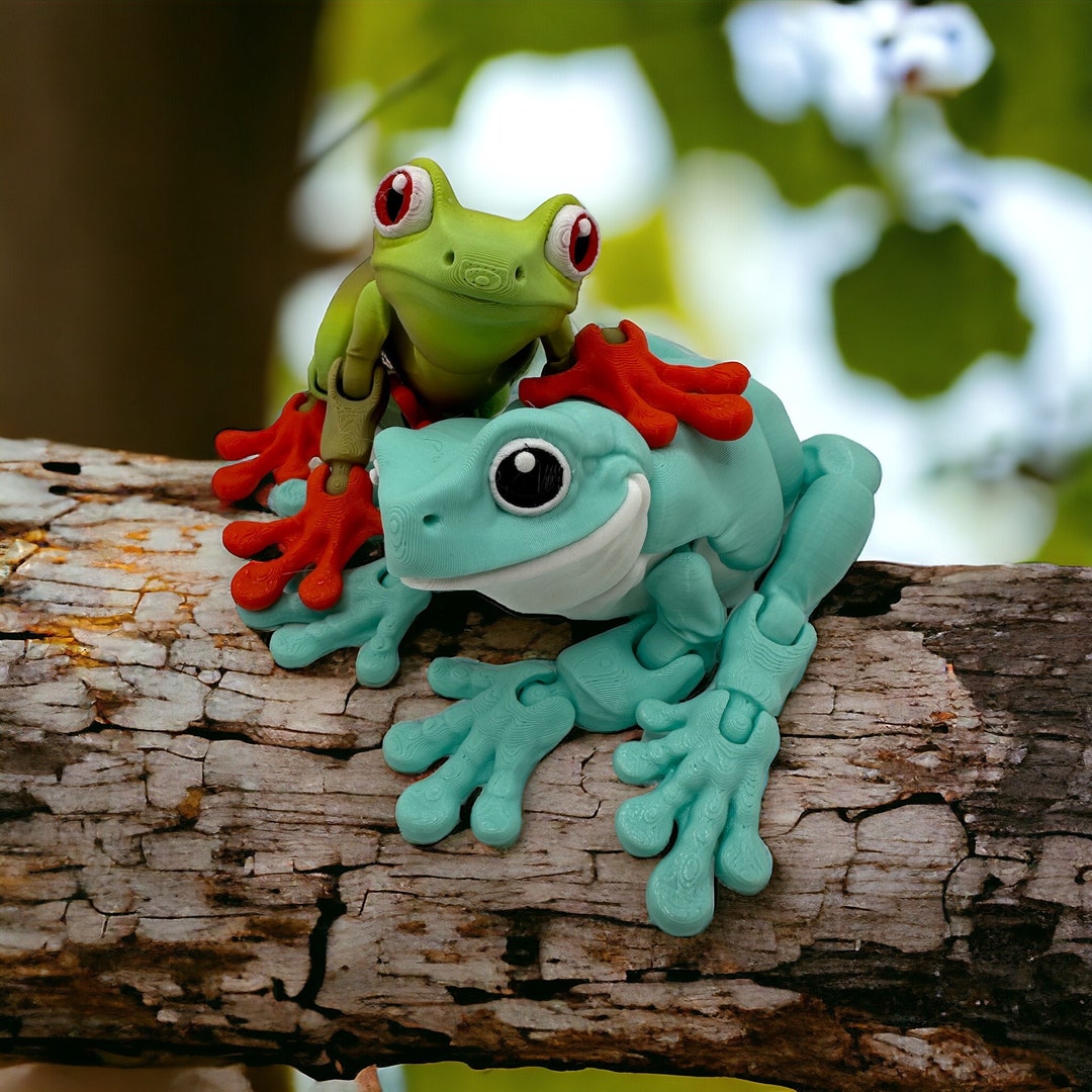 3D Printed Magnetic Flexi Frogs - Etsy