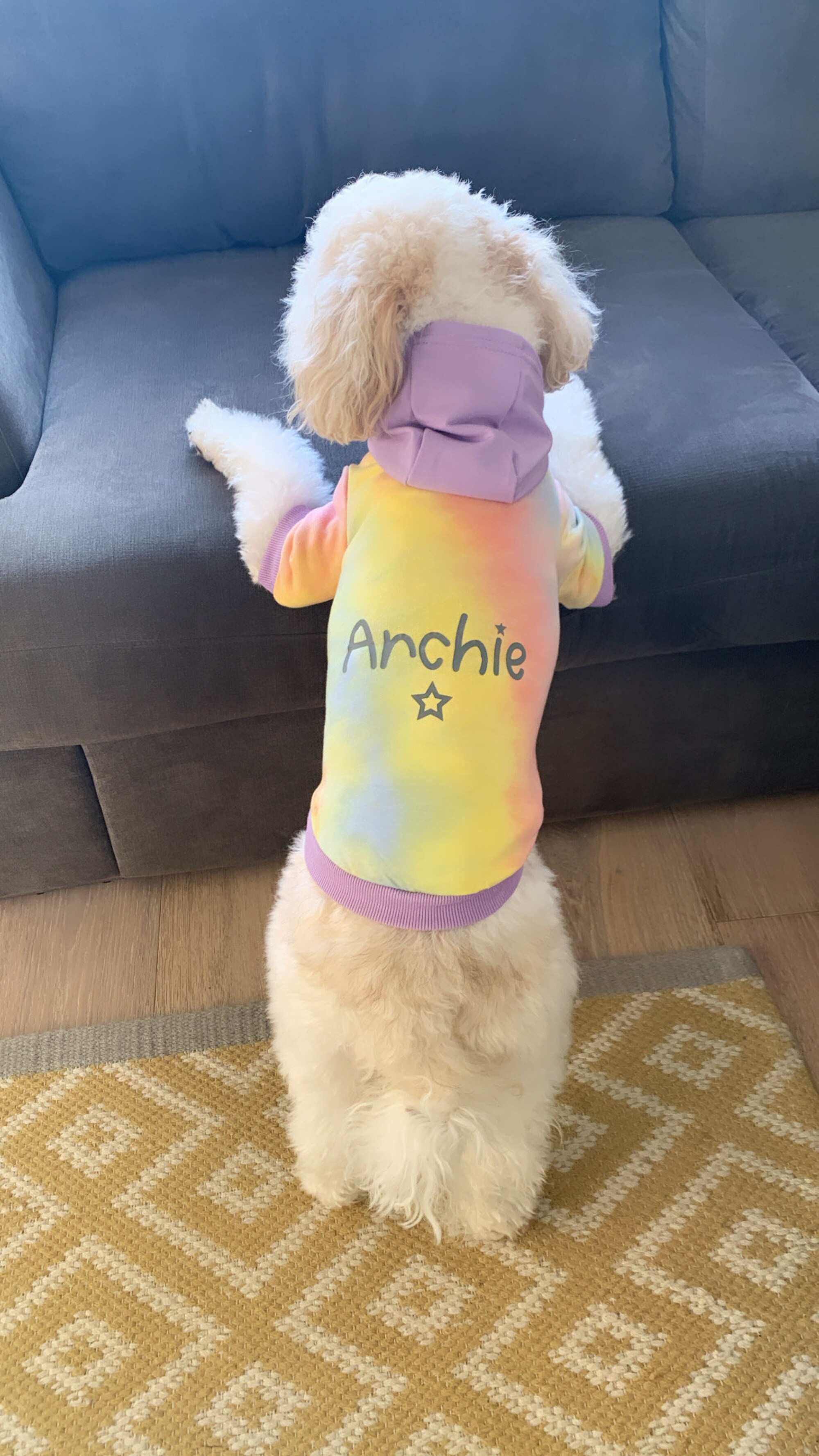 Personalised Dog Jumper, Customised Tie Dye Dog Coat