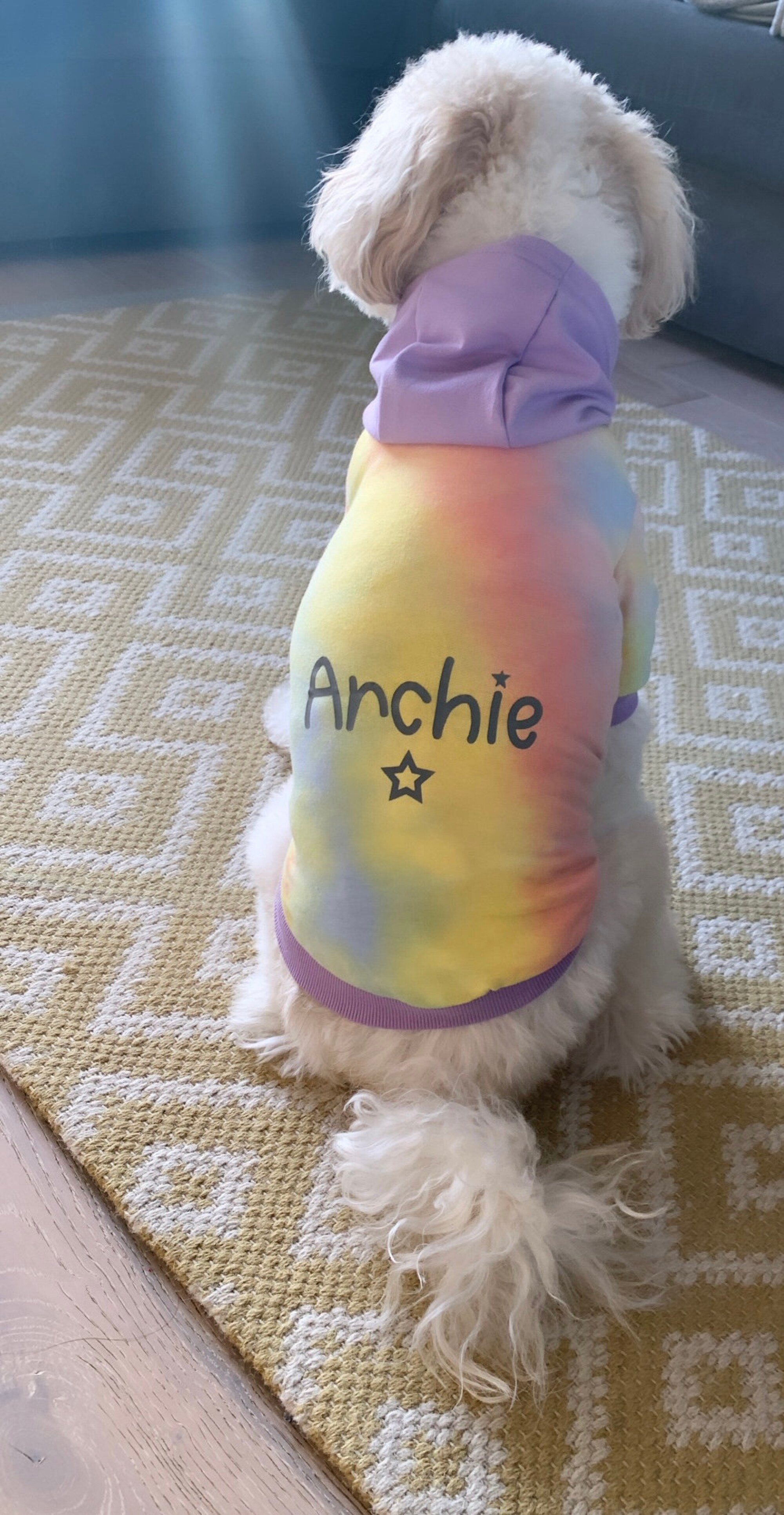 Personalised Dog Jumper, Customised Tie Dye Dog Coat
