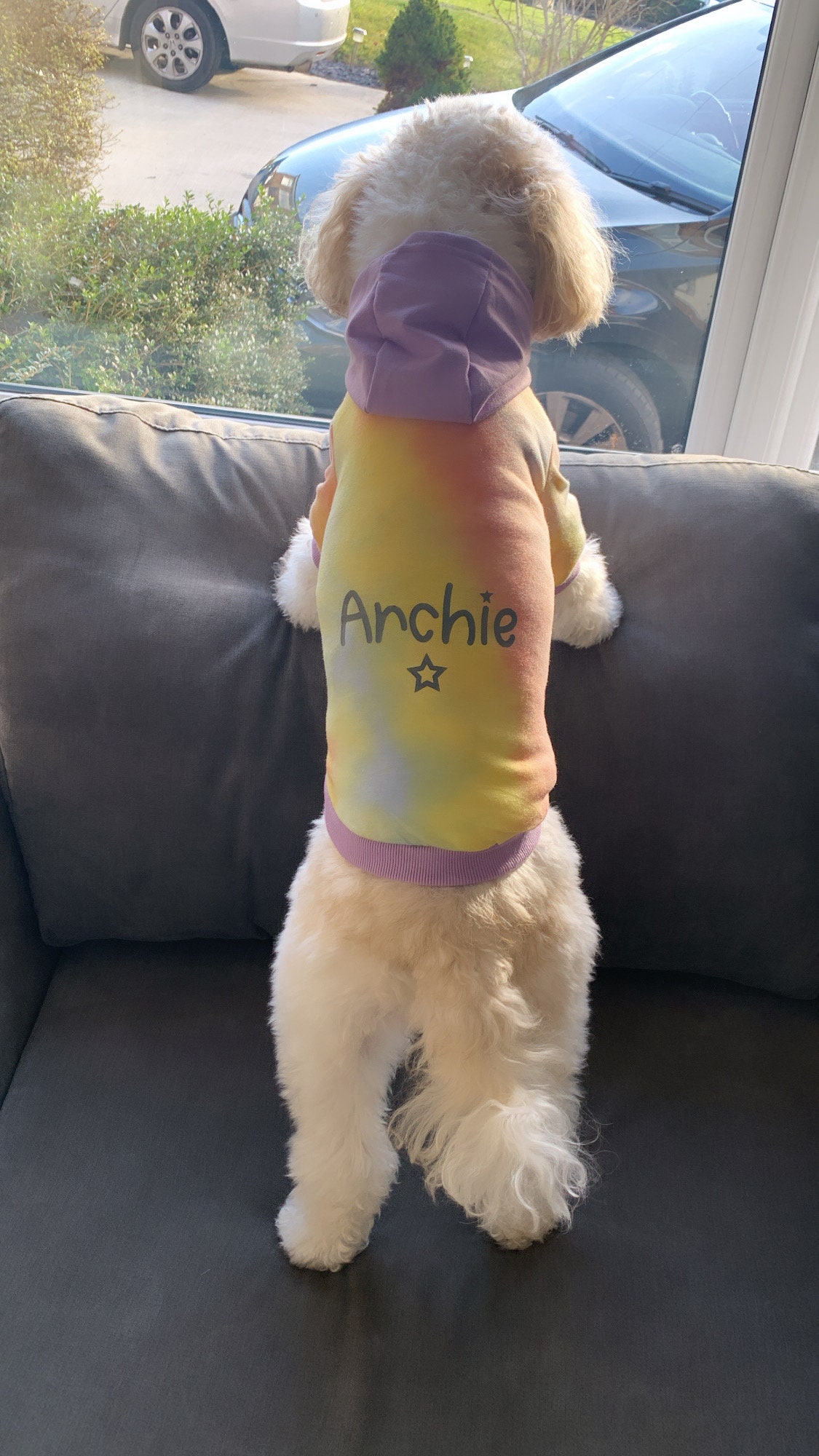 Personalised Dog Jumper Customised Tie Dye Dog Coat Gift for - Etsy