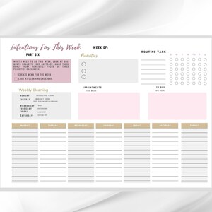 Life Plan 2021, Life System, Complete Pink Planner, Life Audit, Life ...