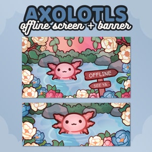Axolotl Complete Stream Package | Animated Screens, Overlays, Alert ...