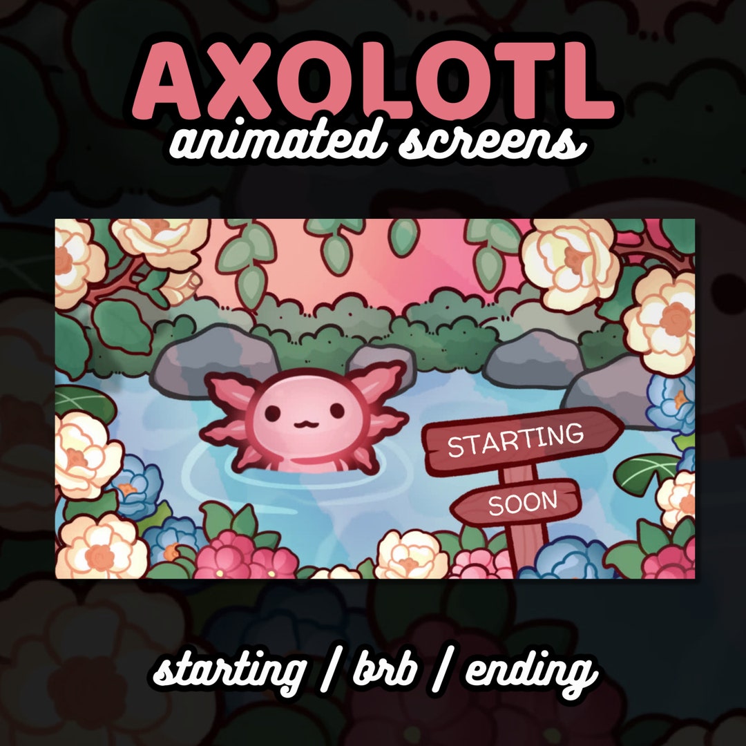 3x Animated Axolotl Twitch Screens | Aesthetic Cute Cozy Pink Kawaii ...