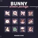 Bunny Complete Stream Package Animated Screens, Overlays, Alert, Banner ...