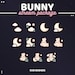 Bunny Complete Stream Package Animated Screens, Overlays, Alert, Banner ...