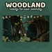 Woodland Forest Stream Package | 3 Animated Screens, 3 Overlays ...