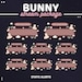 Bunny Stream Package Animated Screens, Overlays, Alerts, Banner ...