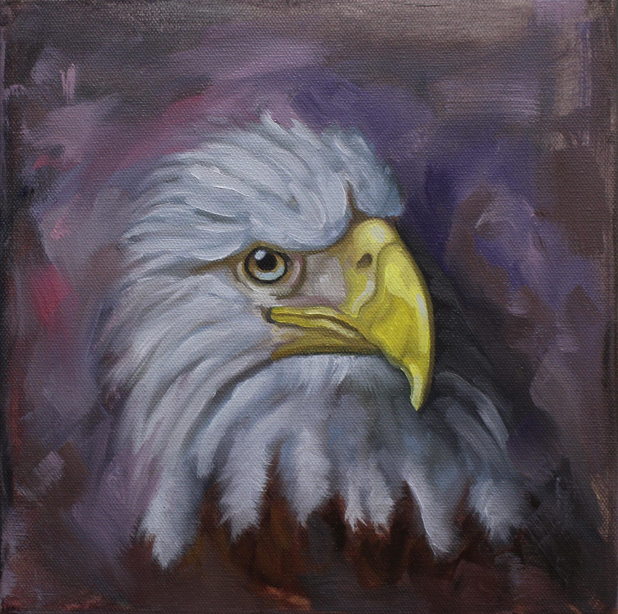 Bald Eagle Oil Painting on Stretched Canvas 10x10in Animal Artwork ...